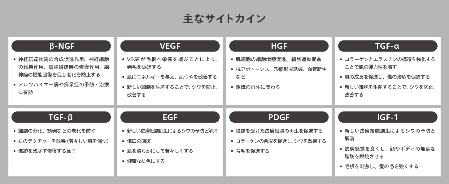 ヒト幹細胞上清FD[脂肪・歯髄] | 【PURESTEM】高濃度幹細胞上清液のご紹介（ピュアステム）